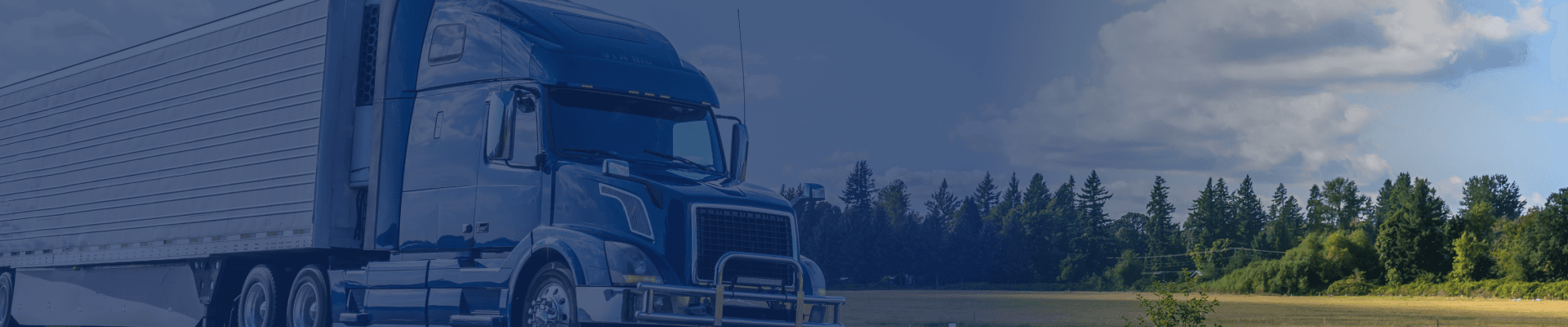 Online Liquidation Auctions and Overstock