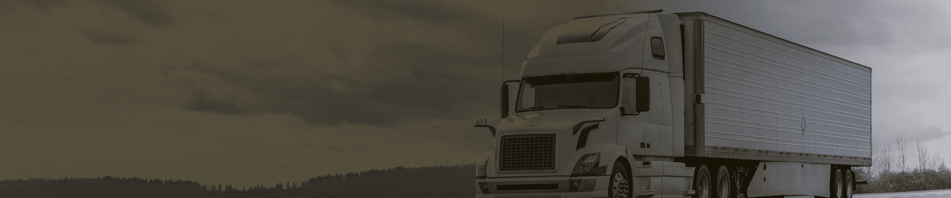 Wholesale Liquidators and Liquidation Auctions